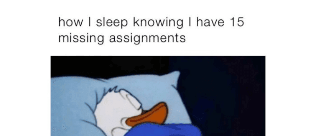 25+ How I Sleep Knowing Memes to Make You Laugh