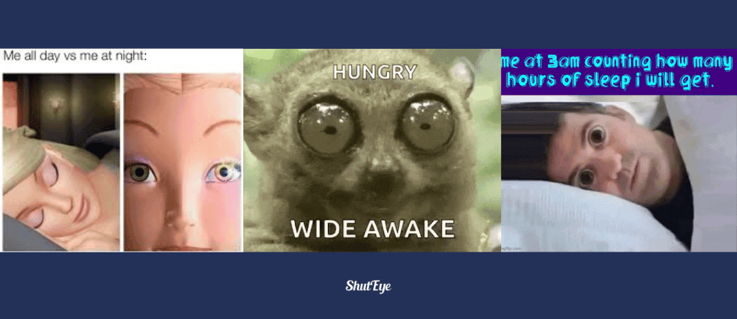 30+ Funny Wide Awake Meme Moments and GIFs For Sharing