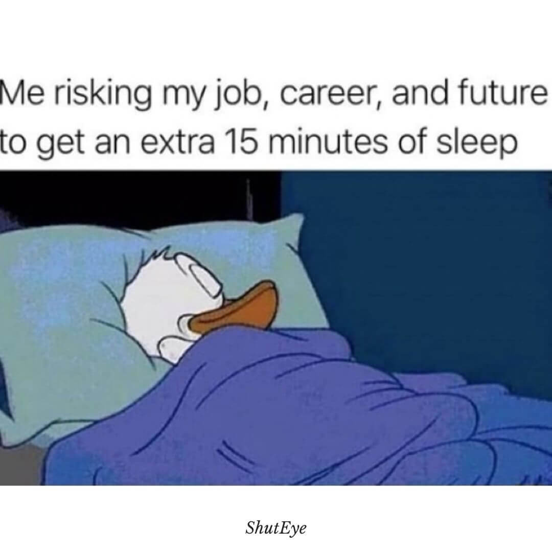 30 Best Funny Sleep Quotes Memes When You Can t Sleep