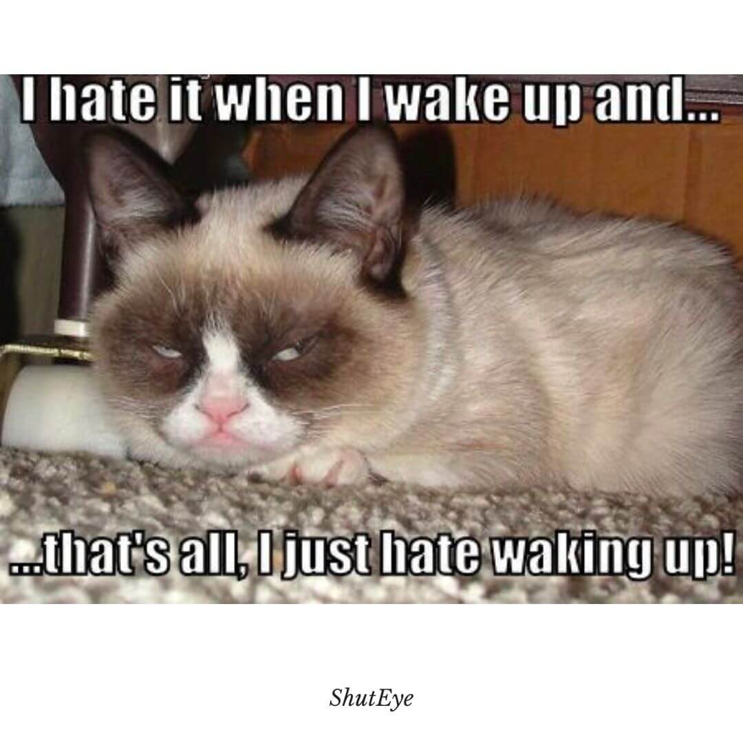 30 Funny Waking Up Memes That Brighten Your Day ShutEye 30 Funny Waking Up Memes That Brighten Your Day ShutEye