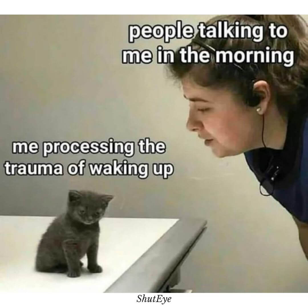 30 Funny Waking Up Memes That Brighten Your Day Shuteye