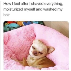 Self Care Memes: A Fun Way to Prioritize Well-Being - ShutEye