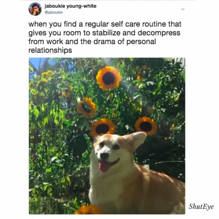 Self Care Memes: A Fun Way to Prioritize Well-Being - ShutEye