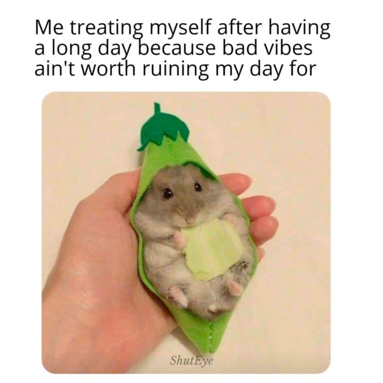 Self Care Memes: A Fun Way to Prioritize Well-Being - ShutEye