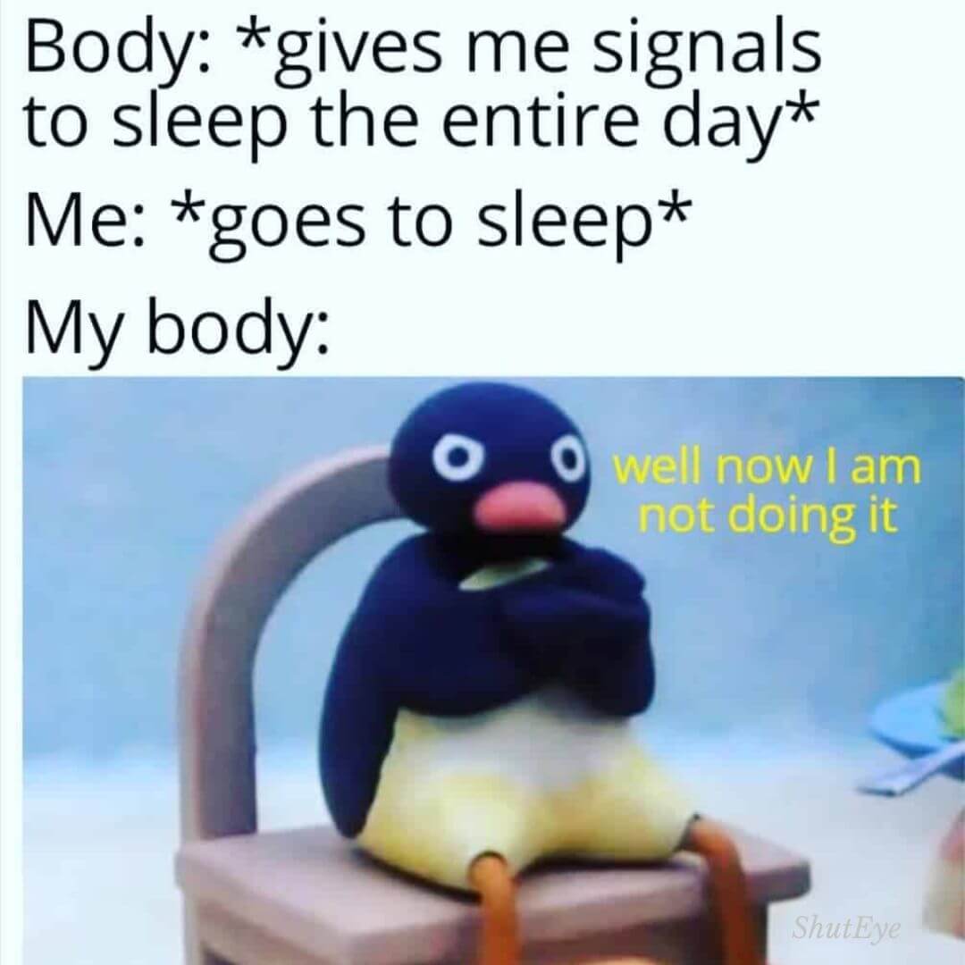 20+ Best Go To Sleep Memes to Read at Midnight