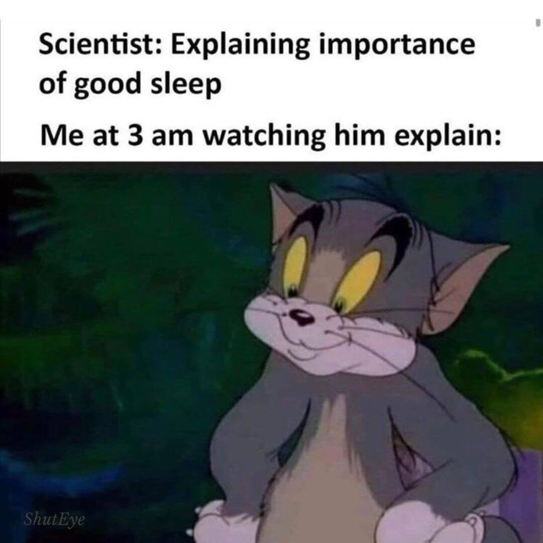 20+ Best Go To Sleep Memes to Read at Midnight