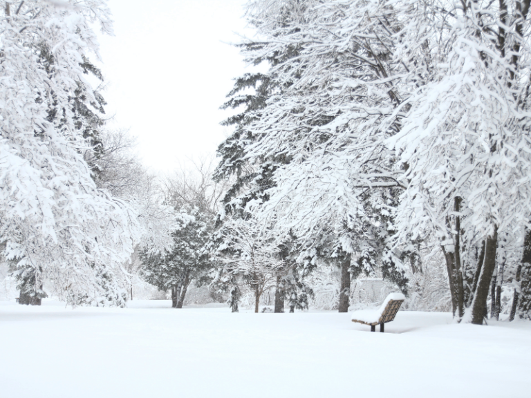 Dream Of Snow: What Does It Mean? Complete Interpretation