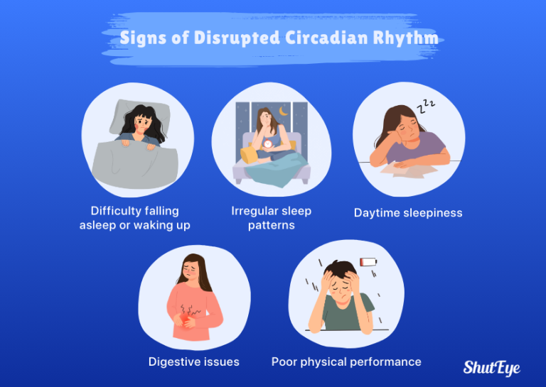 Circadian Rhythm: What It Is, How It Works and How To Regulate It