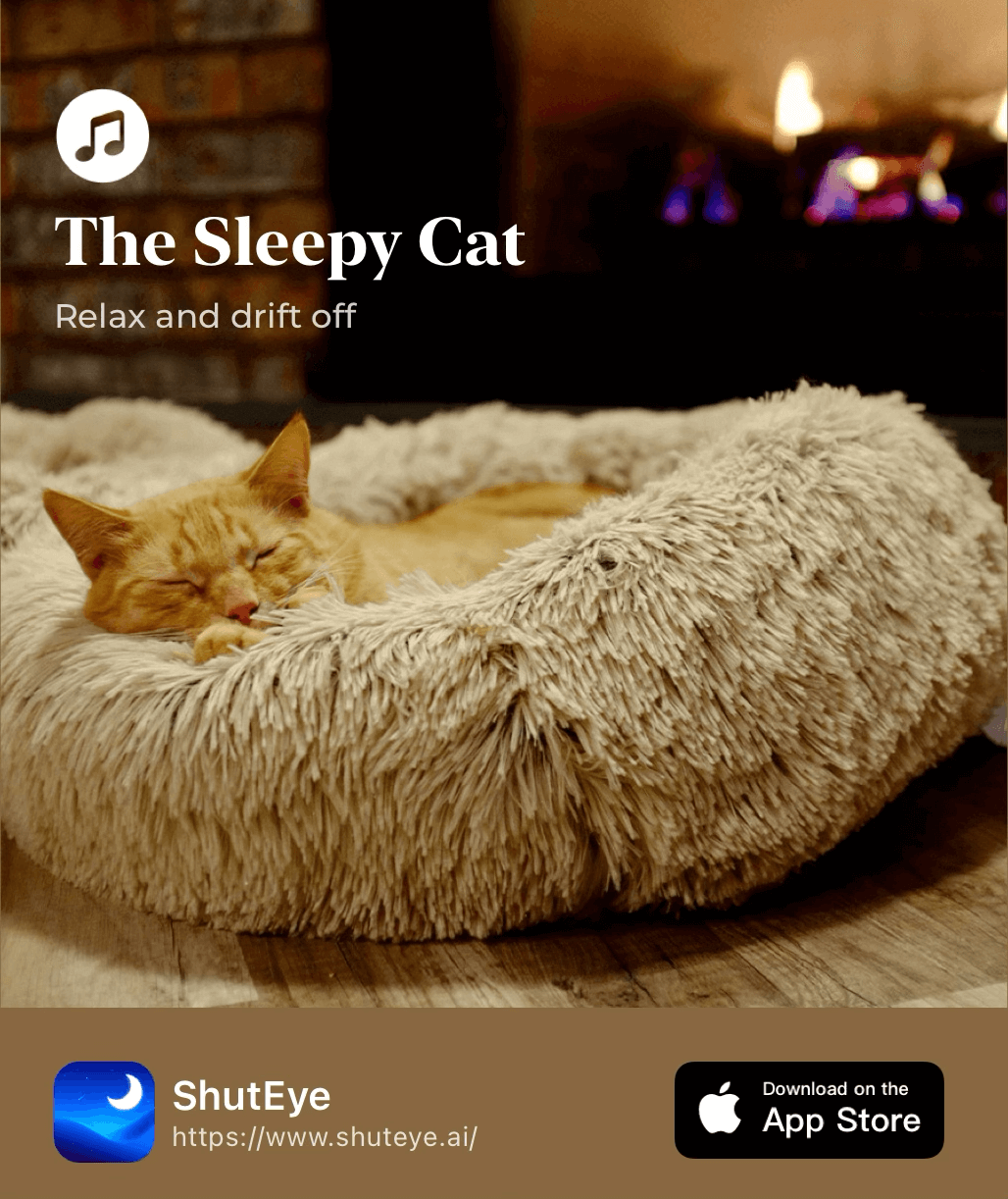 20+ Bedtime Stories for Adults to Fall Asleep: Free Audios Included!
