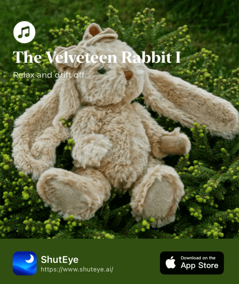 20+ Bedtime Stories for Adults to Fall Asleep: Free Audios Included!