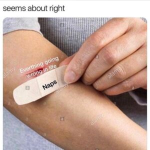 40+ Best Sleeping Meme To Keep You Laughing In Bed (2024)