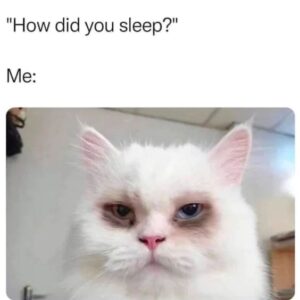 40+ Best Sleeping Meme To Keep You Laughing In Bed (2024)