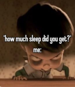 40+ Best Sleeping Meme To Keep You Laughing In Bed (2024)
