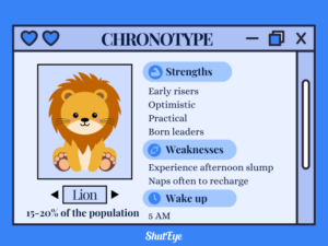 Chronotype: What It Is, 4 Types, and How It Connects to Sleep