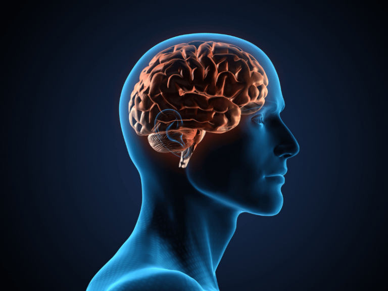 Why Do We Yawn? 4 Scientific Reasons and How To Treat It