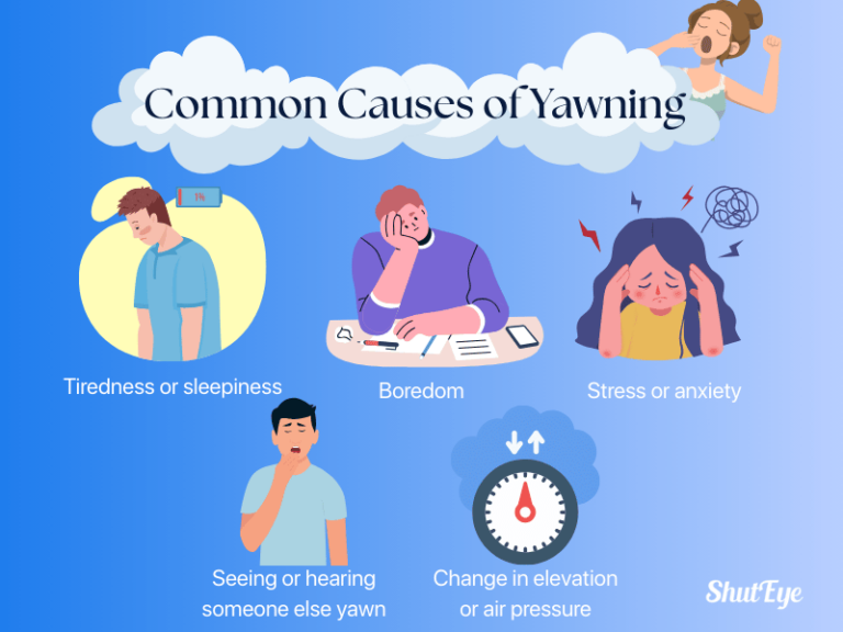 Why Do We Yawn? 4 Scientific Reasons and How To Treat It